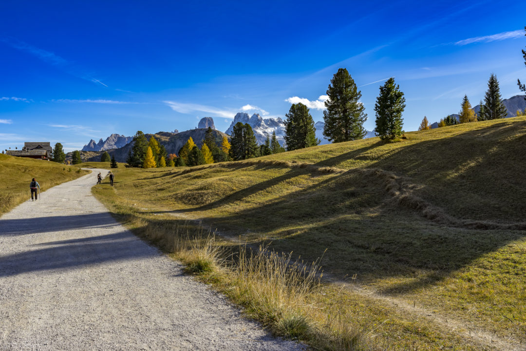 Wandern Plätzwiese Südtirol